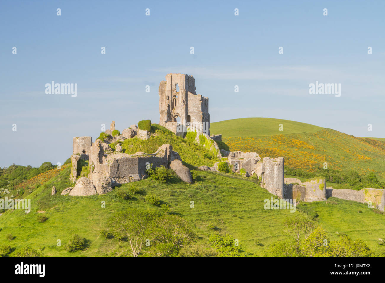 Corfe Castle, Dorset Stock Photo - Alamy
