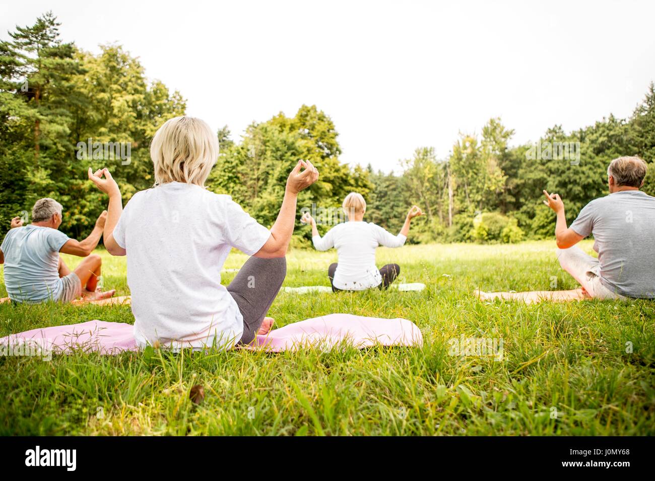 Four people doing yoga in field Stock Photo - Alamy