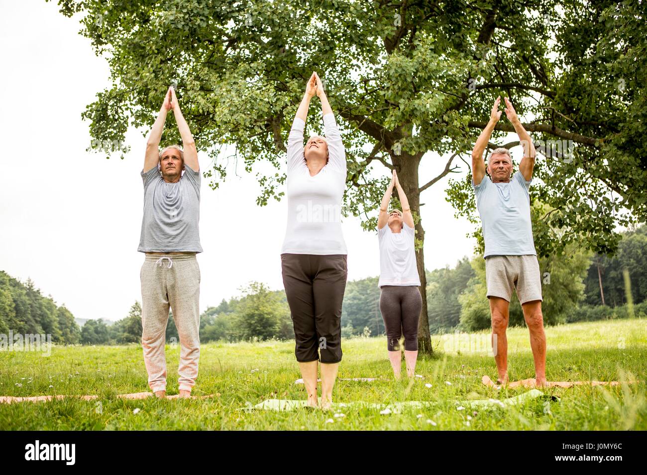 Group people doing yoga pose hi-res stock photography and images - Alamy