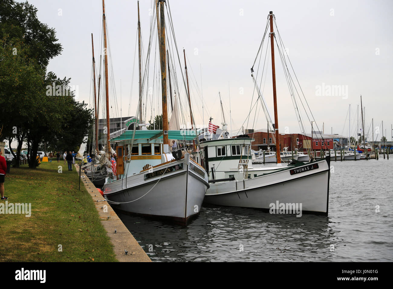 Motor Vessels Thomas J. and East Hampton before the annual Skipjack ...