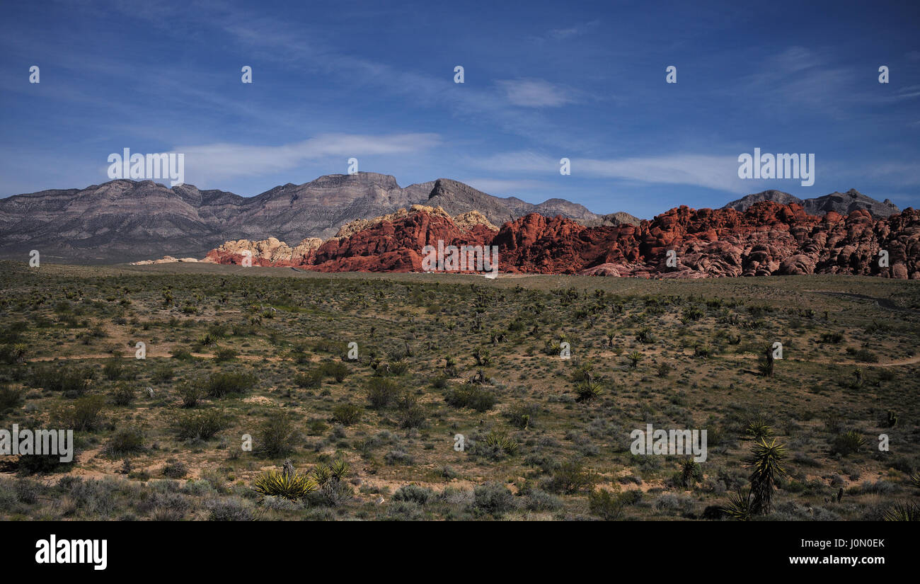 Red Rock Canyon National Park, Nevada Stock Photo - Alamy
