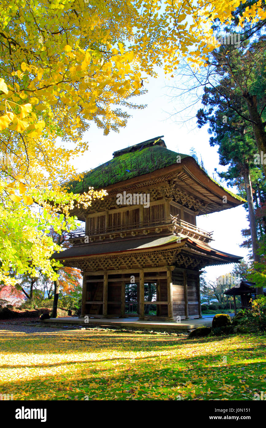 Kotokuji Temple Ginkgo trees in Autumn Akiruno city Tokyo Japan Stock ...