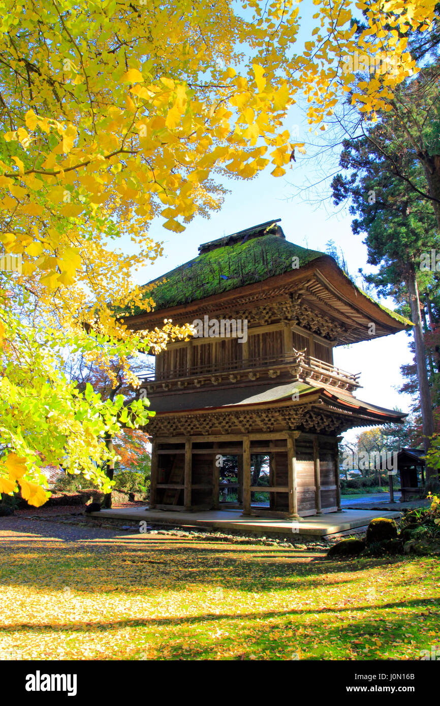 Kotokuji Temple Ginkgo trees in Autumn Akiruno city Tokyo Japan Stock ...