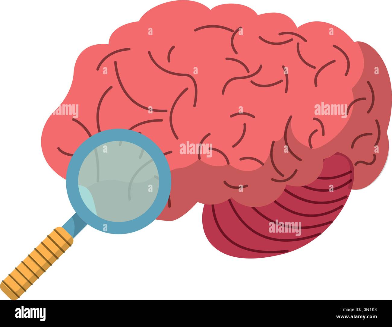 brain search find creativity image Stock Vector Image & Art - Alamy