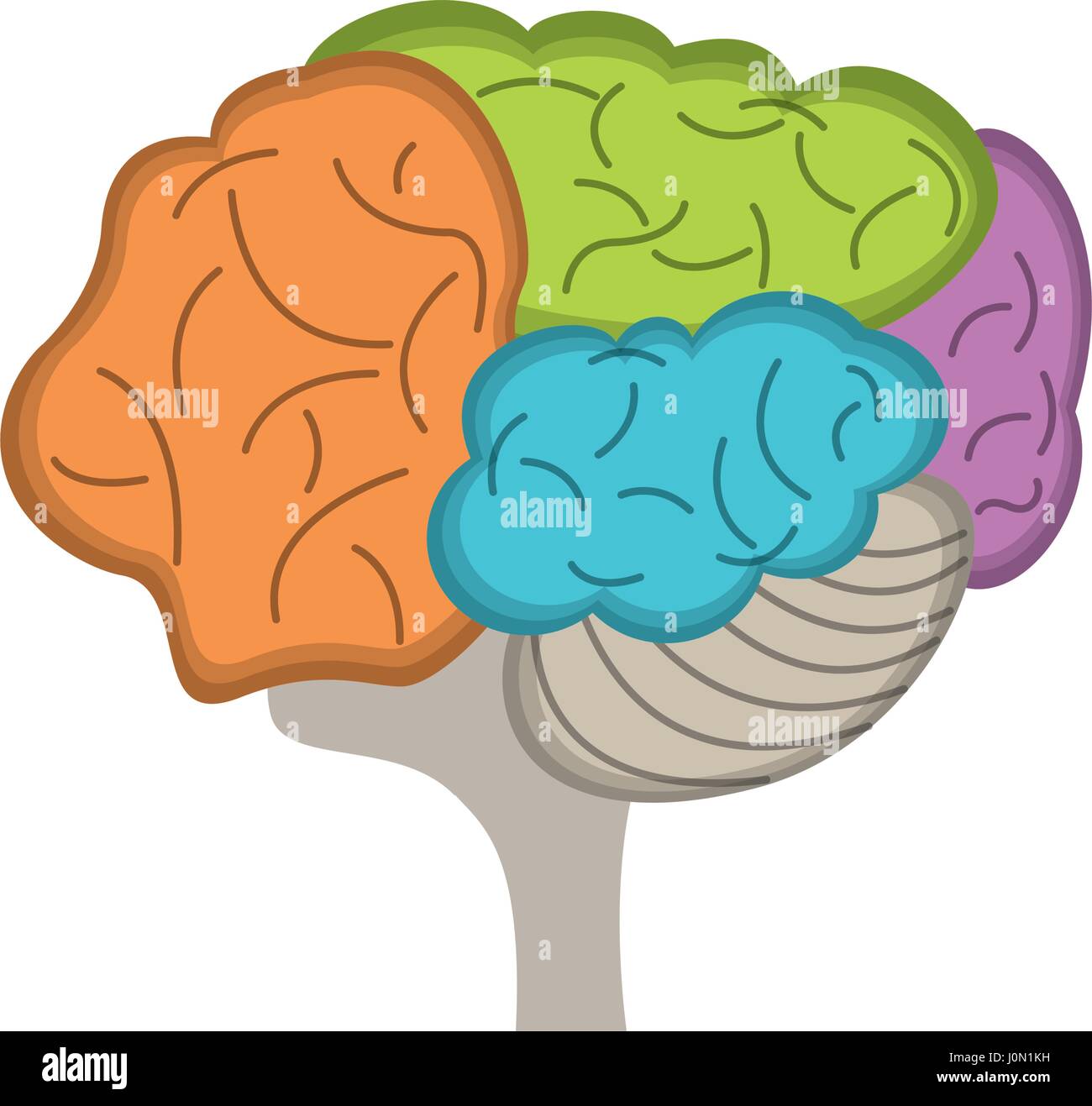 brain human idea creativity Stock Vector Image & Art - Alamy