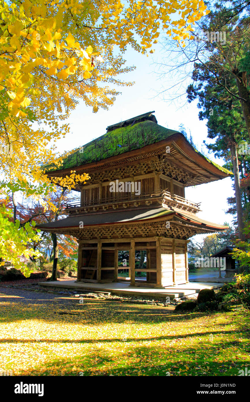 Kotokuji Temple Ginkgo trees in Autumn Akiruno city Tokyo Japan Stock ...