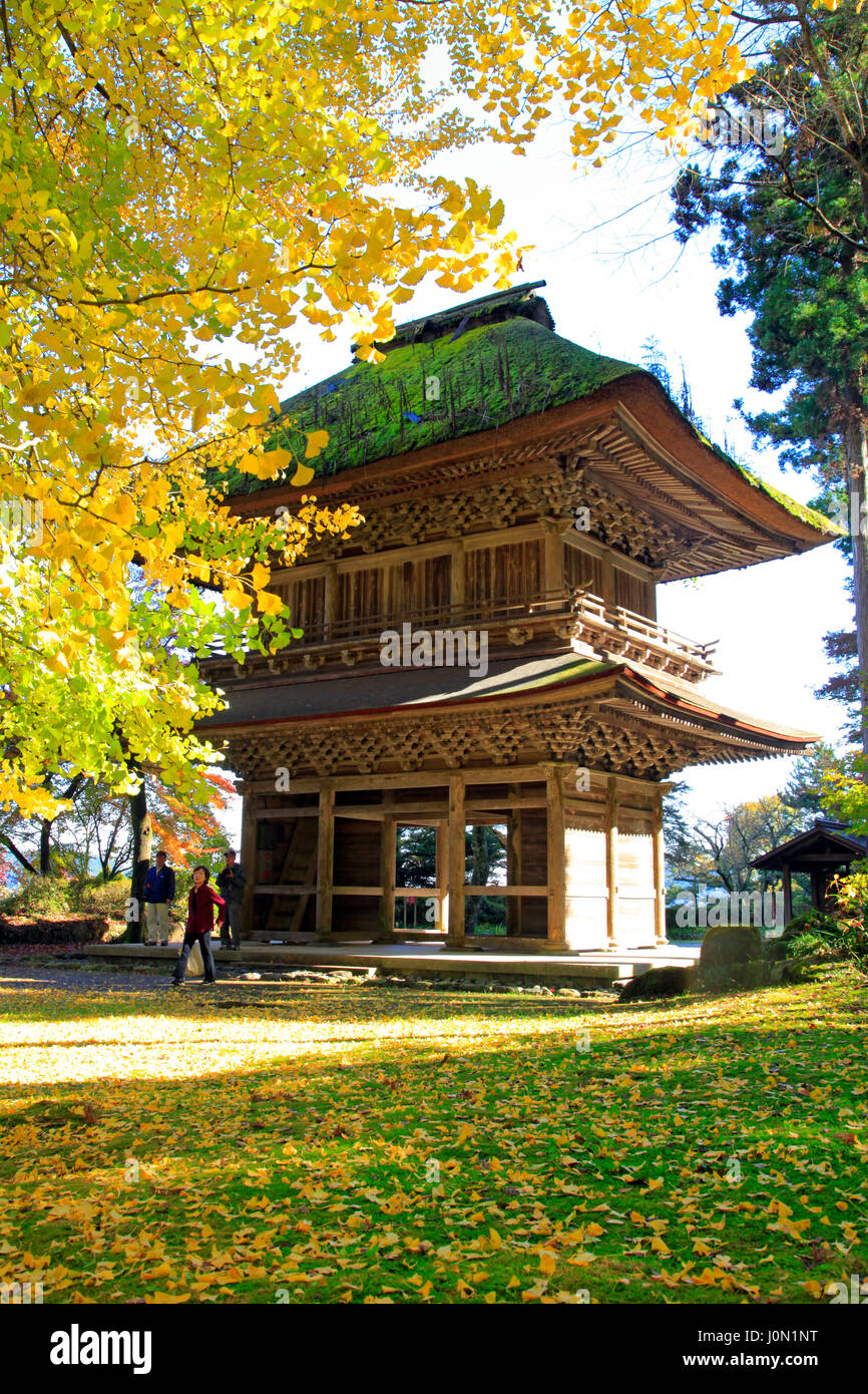 Kotokuji Temple Ginkgo trees in Autumn Akiruno city Tokyo Japan Stock ...