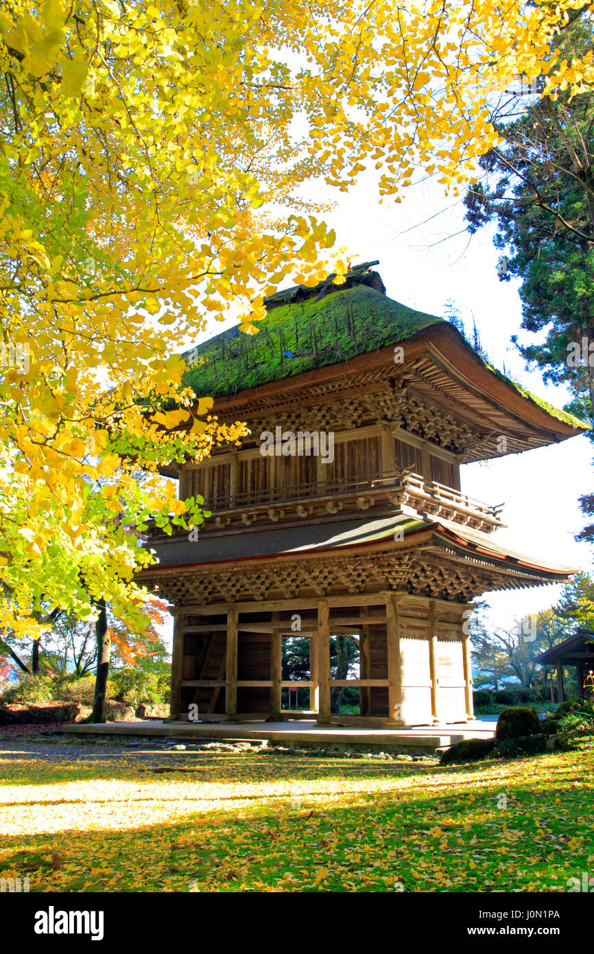 Kotokuji Temple Ginkgo trees in Autumn Akiruno city Tokyo Japan Stock ...