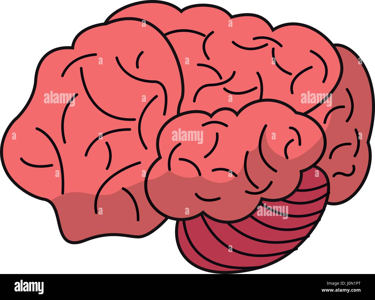 brain idea human organ Stock Vector Image & Art - Alamy