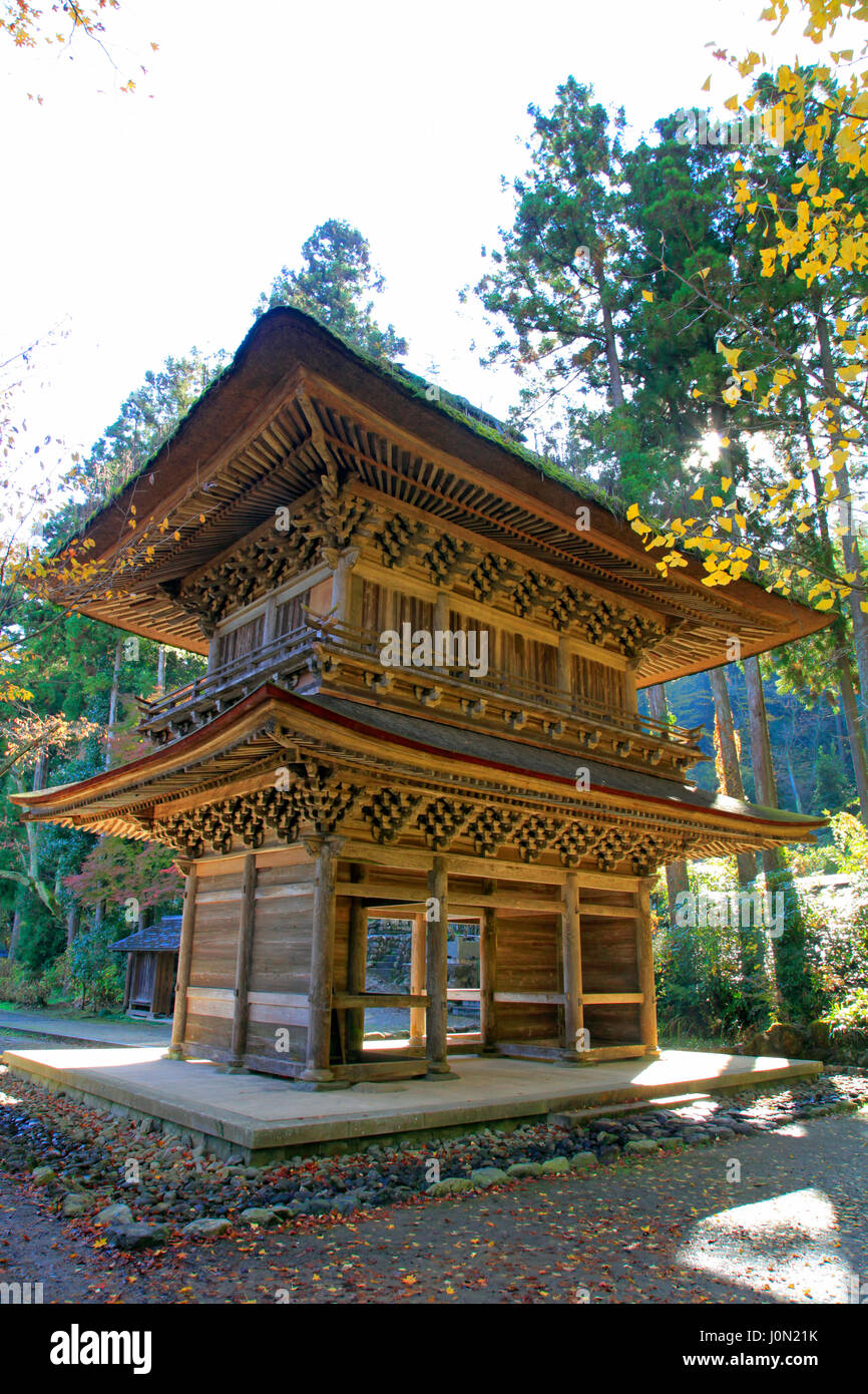 Kotokuji Temple Ginkgo trees in Autumn Akiruno city Tokyo Japan Stock ...