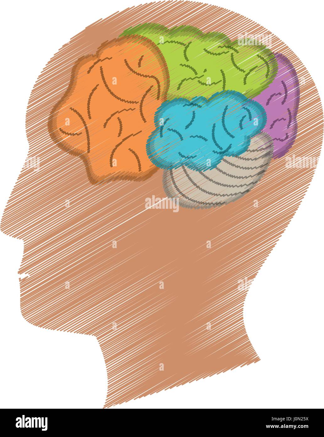 Illustration drawing mind gear hi-res stock photography and images - Alamy
