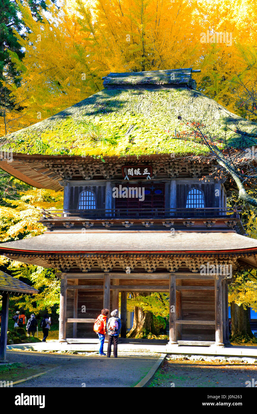Kotokuji Temple Ginkgo trees in Autumn Akiruno city Tokyo Japan Stock ...