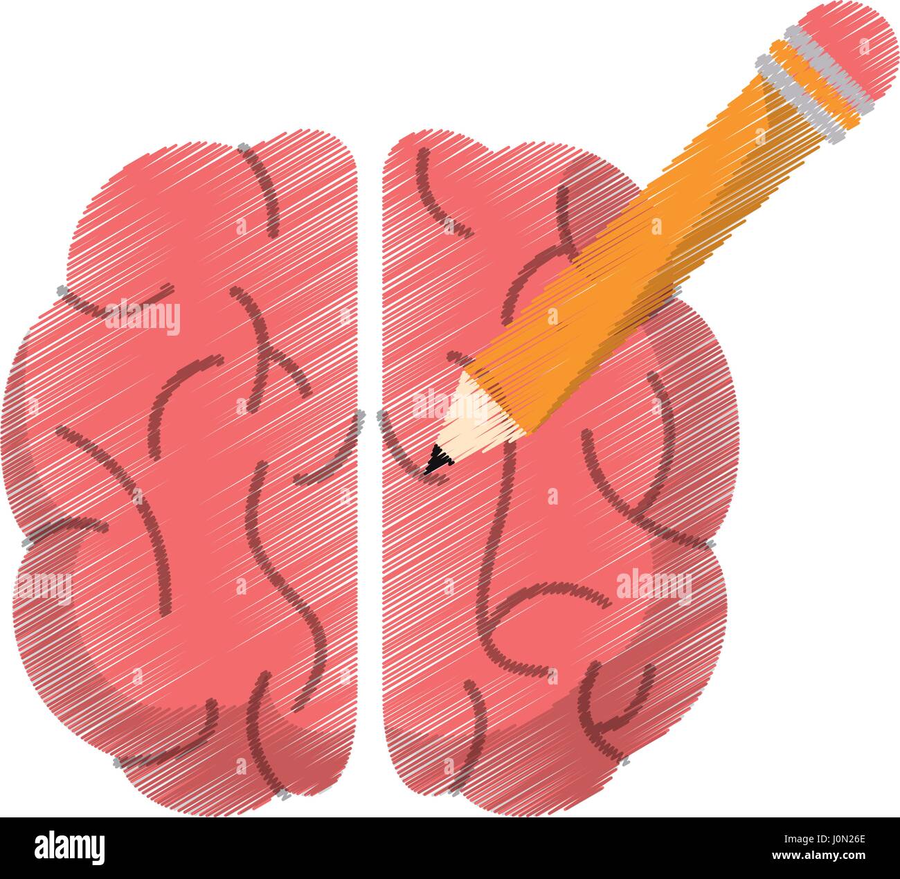 drawing brain idea pencil knowledge Stock Vector Image & Art - Alamy