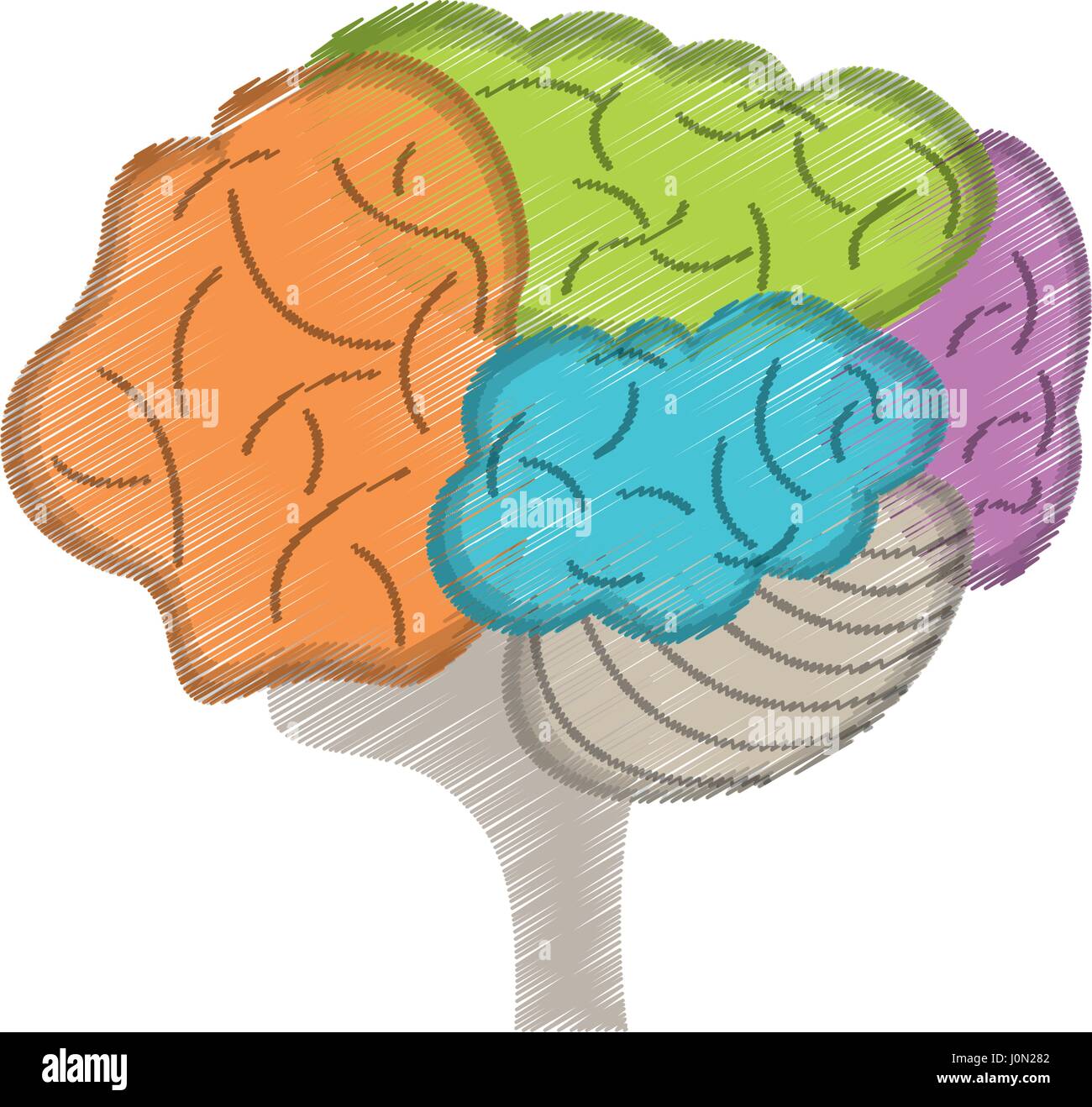 drawing colo brain idea innovation Stock Vector Image & Art - Alamy