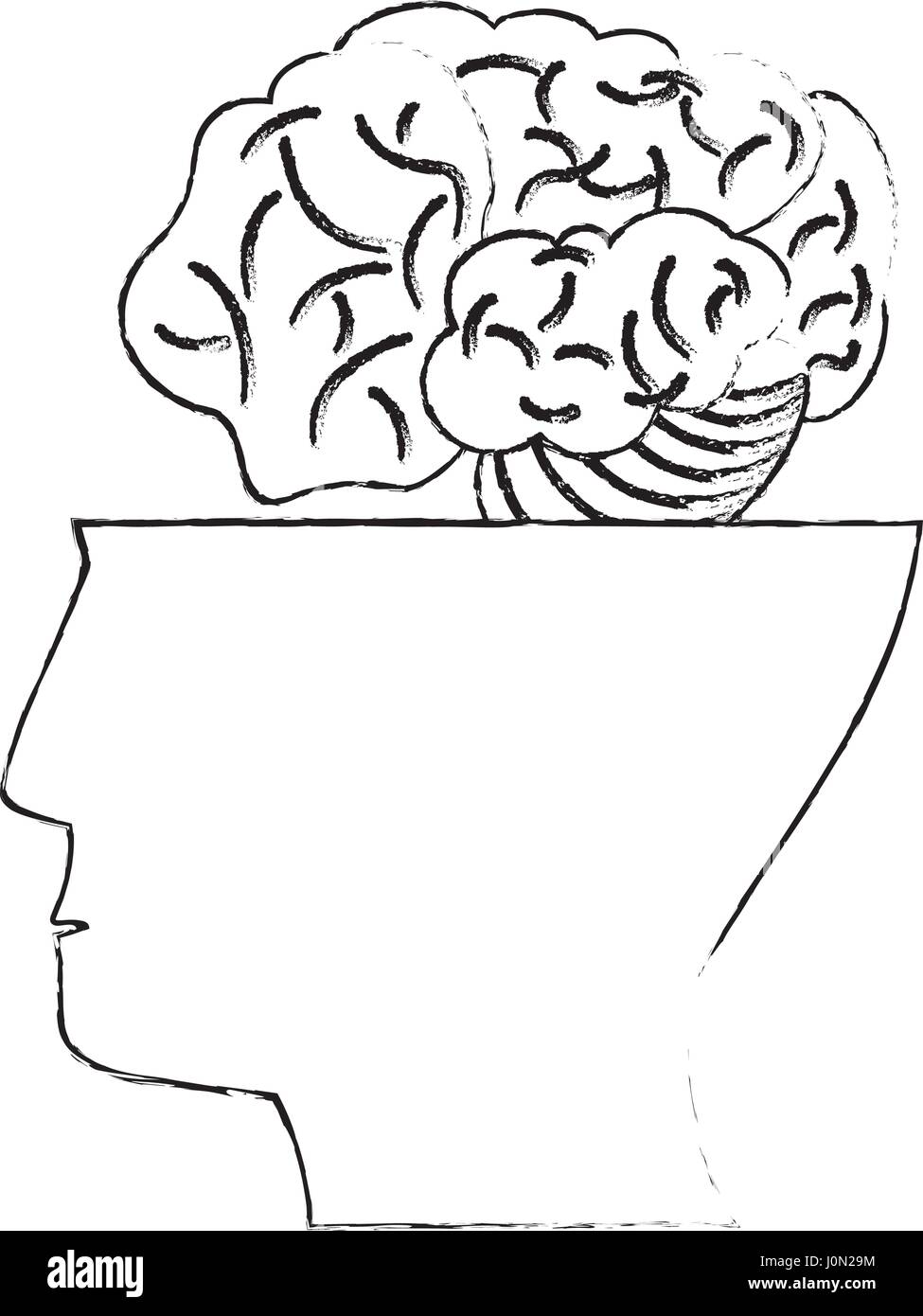 Half Human Brain High Resolution Stock Photography and Images - Alamy