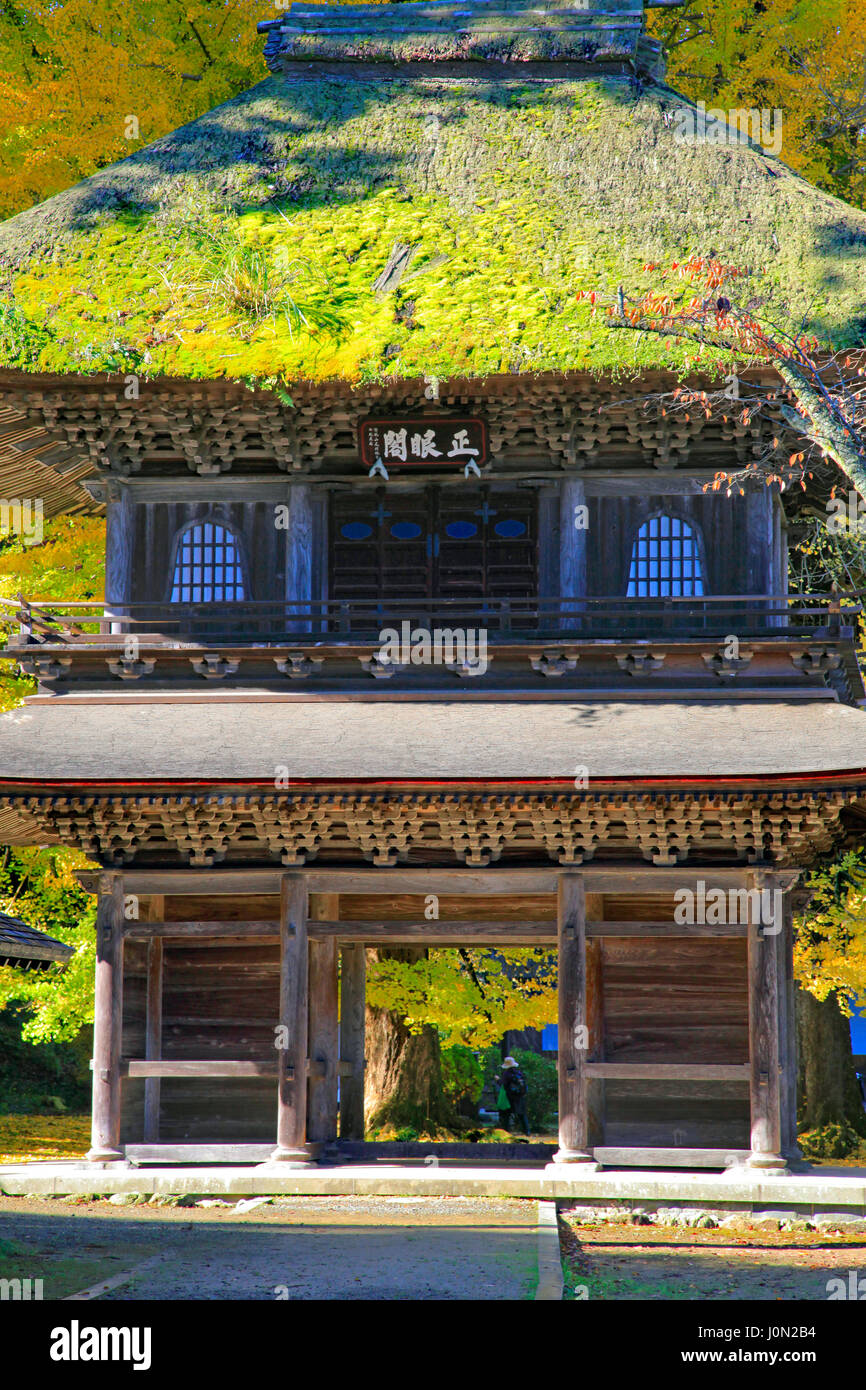 Kotokuji Temple Ginkgo trees in Autumn Akiruno city Tokyo Japan Stock ...