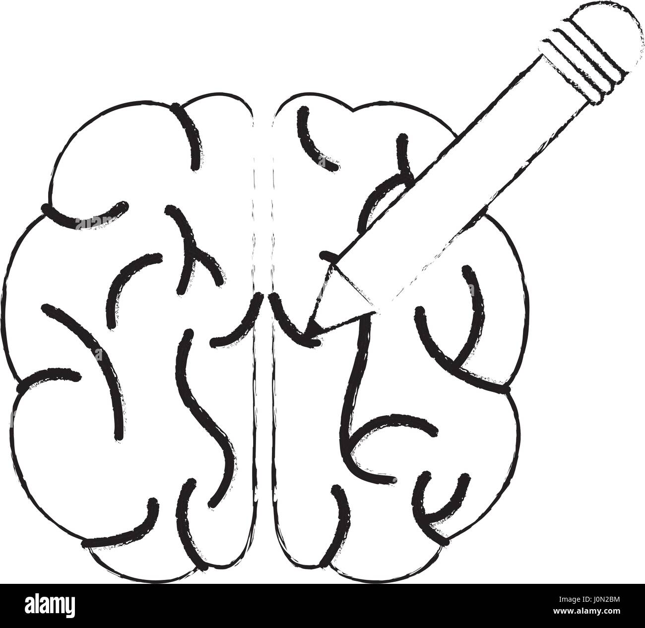 Illustration pencil drawing brain Black and White Stock Photos & Images ...