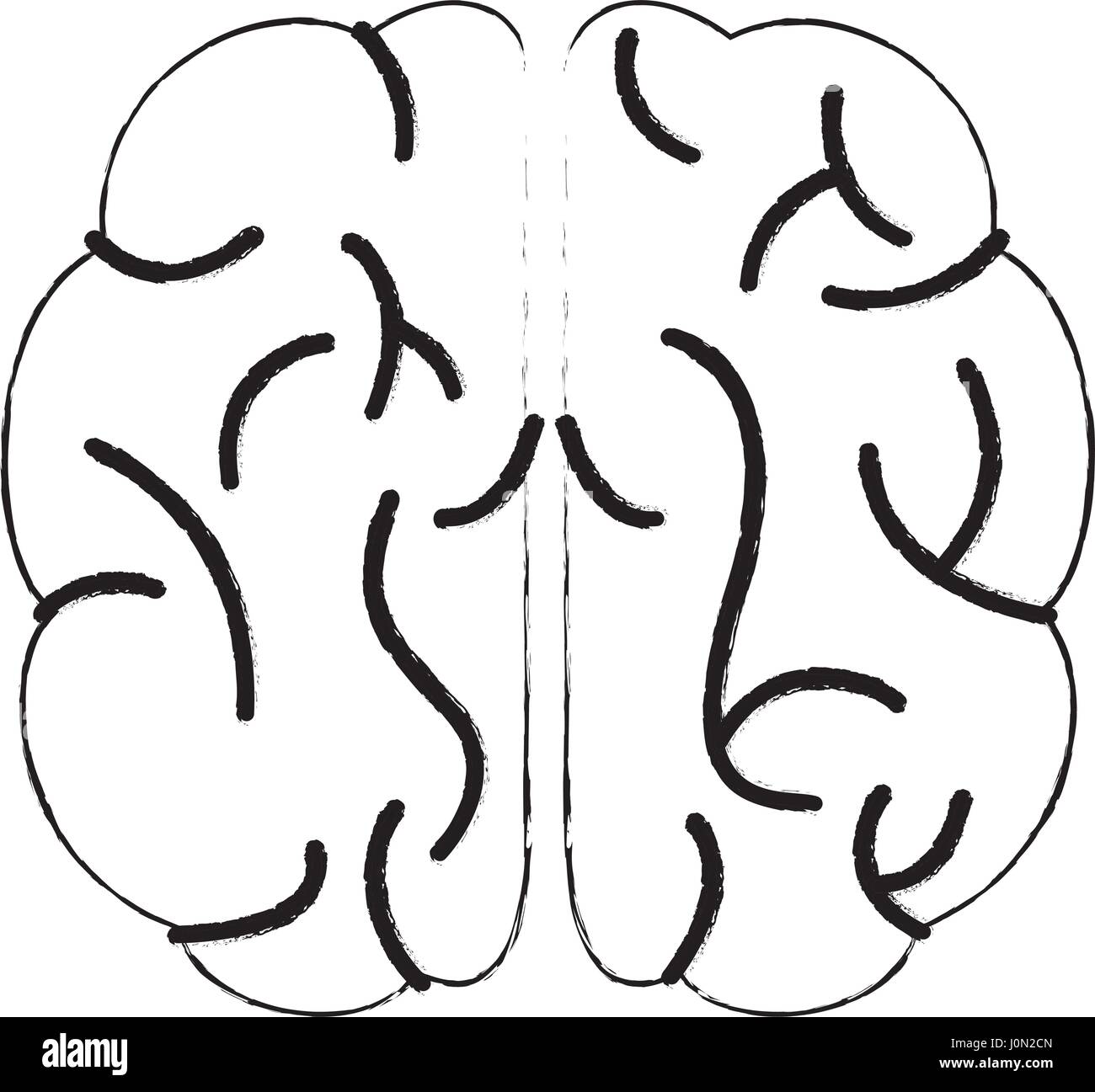 sketch brain human knowledge process Stock Vector Image & Art - Alamy