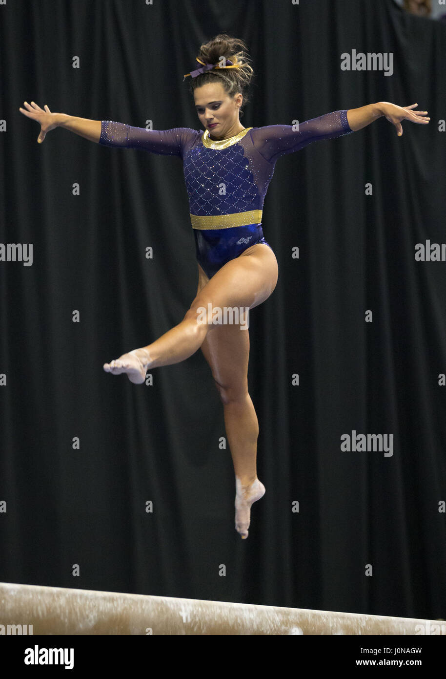 St. 14th Apr, 2017. LSU's Ashleigh Gnat on the balance beam during the ...