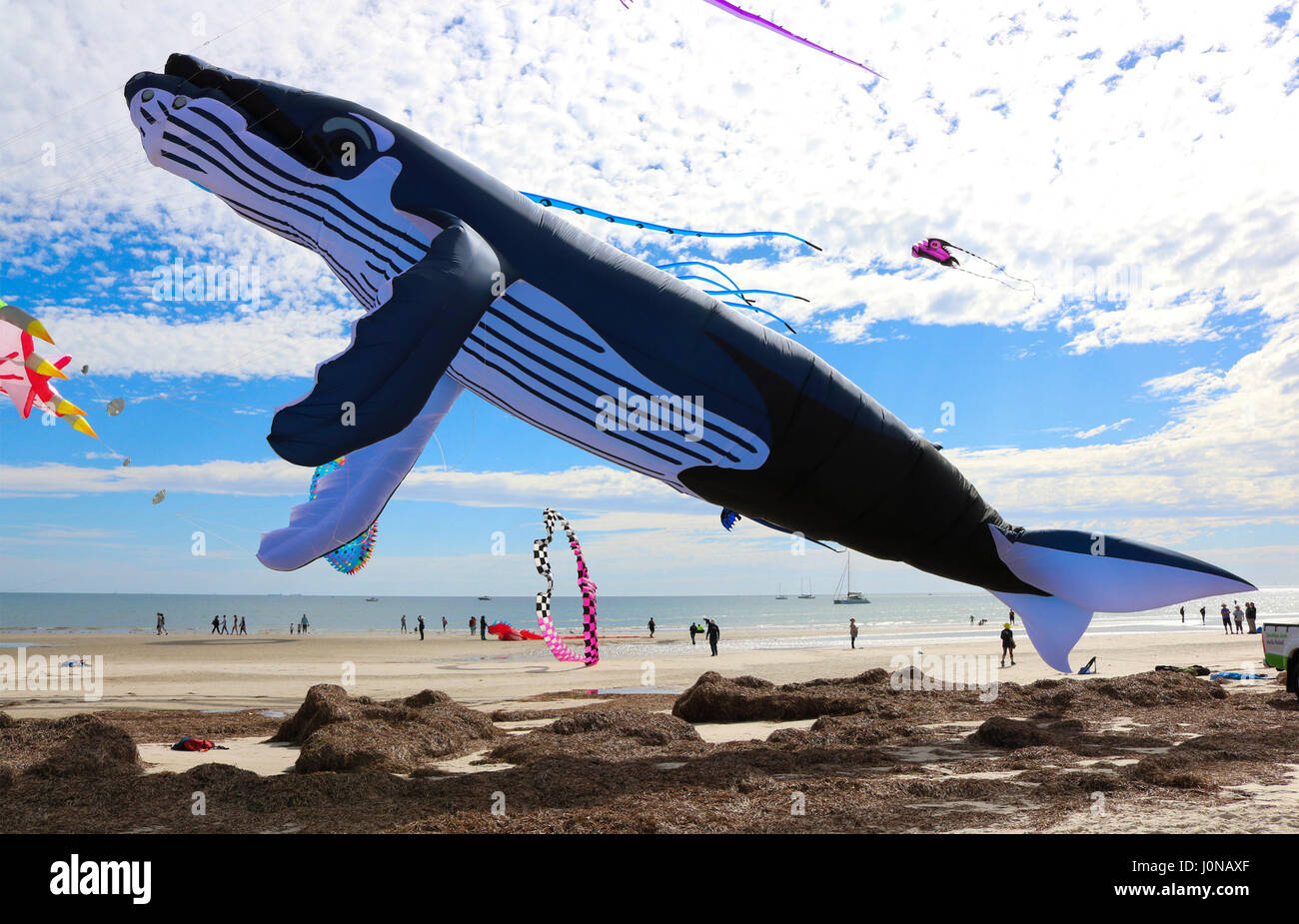 Adelaide Australia. 15th April 2017. A colorful display of kites in a ...