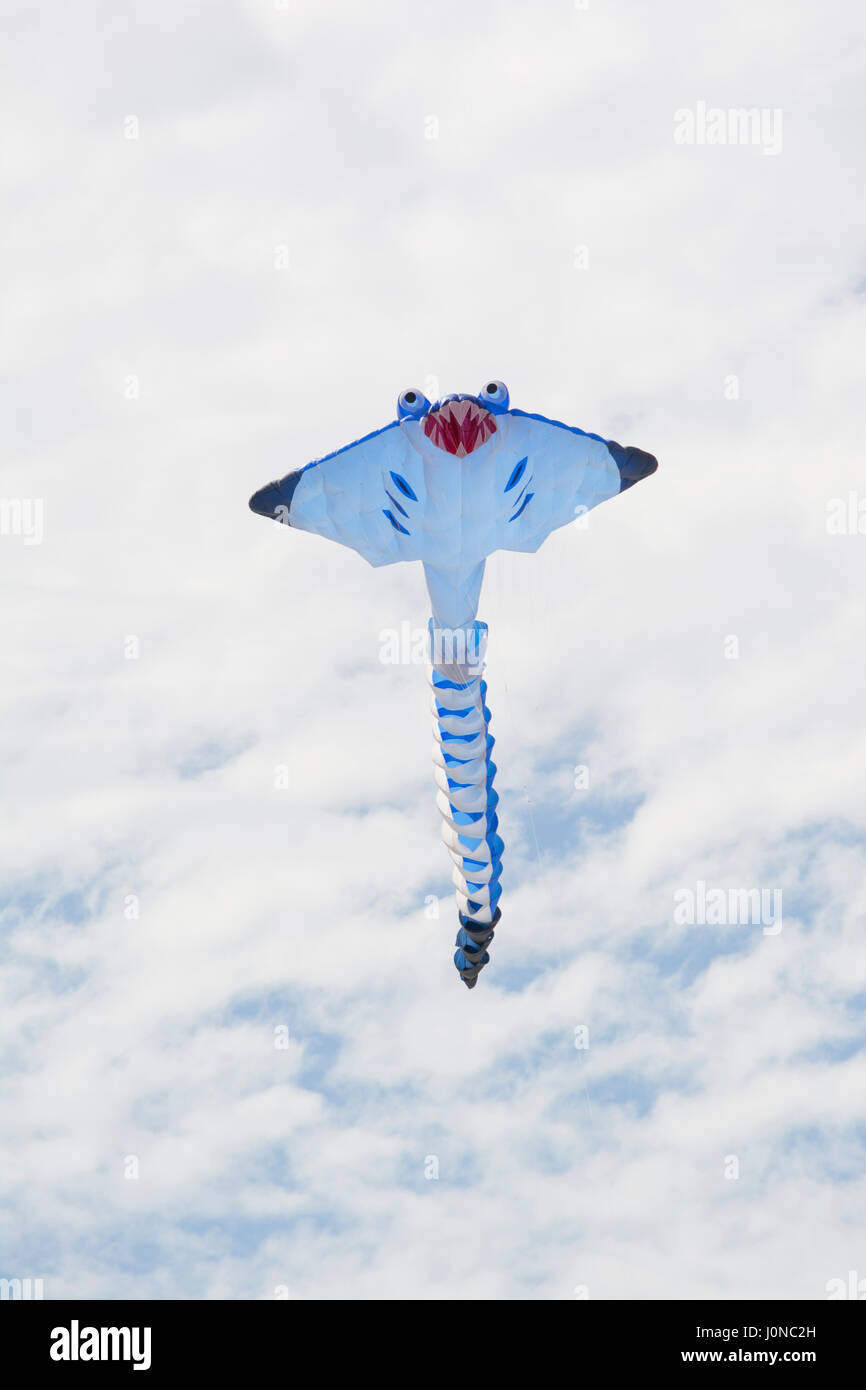 Whtie kite hi-res stock photography and images - Alamy