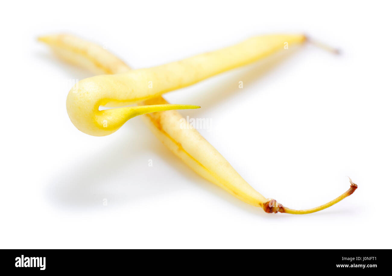 Deformed vegetable hi-res stock photography and images - Alamy