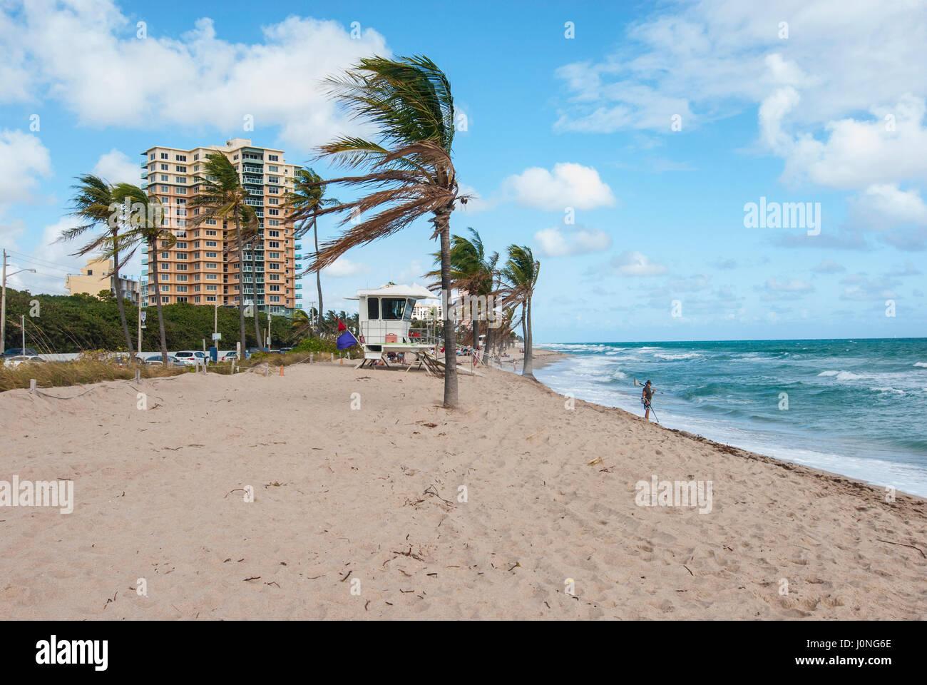 Ft. Lauderdale Beach Florida USA windy early day rough seas palm trees ...