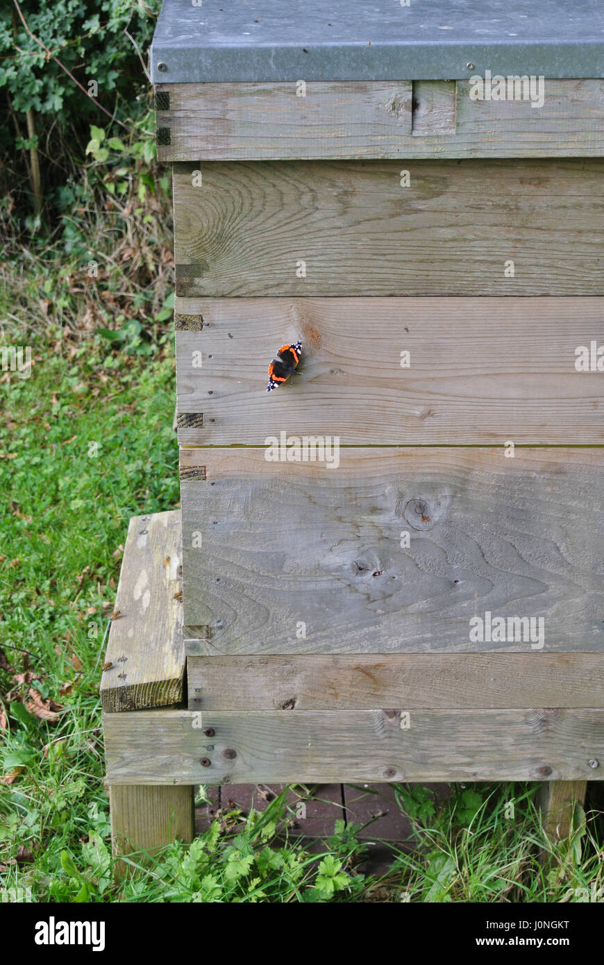Bee hive hi-res stock photography and images - Alamy