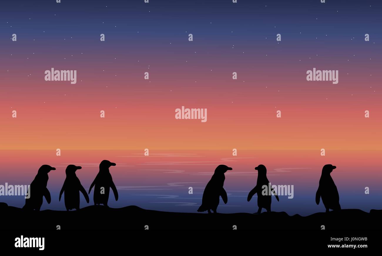 Silhouette penguin at night landscape Stock Vector Image & Art - Alamy