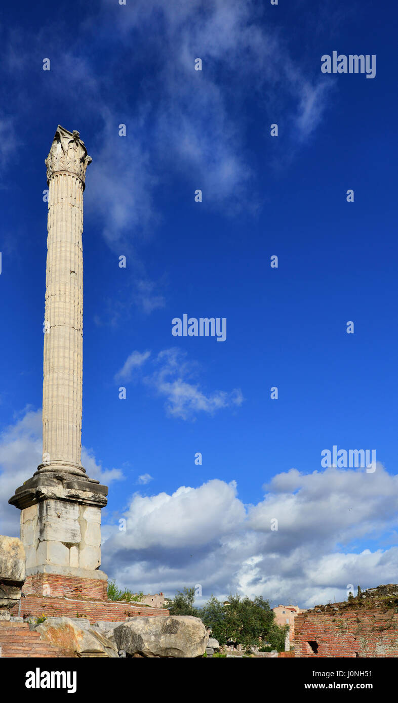 Ancient Column of Byzantine Emperor Phocas in the center of Roman Forum ...
