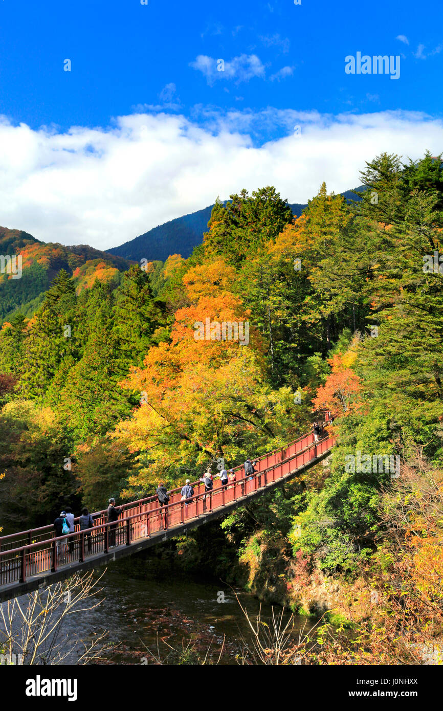 Ishibune Bashi Bridge Akigawa Keikoku Valley Akiruno Tokyo Japan Stock ...