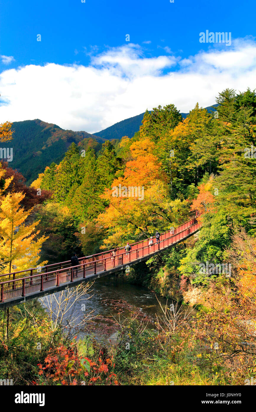Ishibune Bashi Bridge Akigawa Keikoku Valley Akiruno Tokyo Japan Stock ...