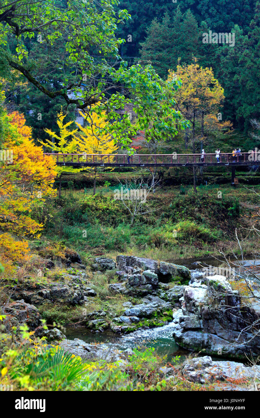Ishibune Bashi Bridge Akigawa Keikoku Valley Akiruno Tokyo Japan Stock ...