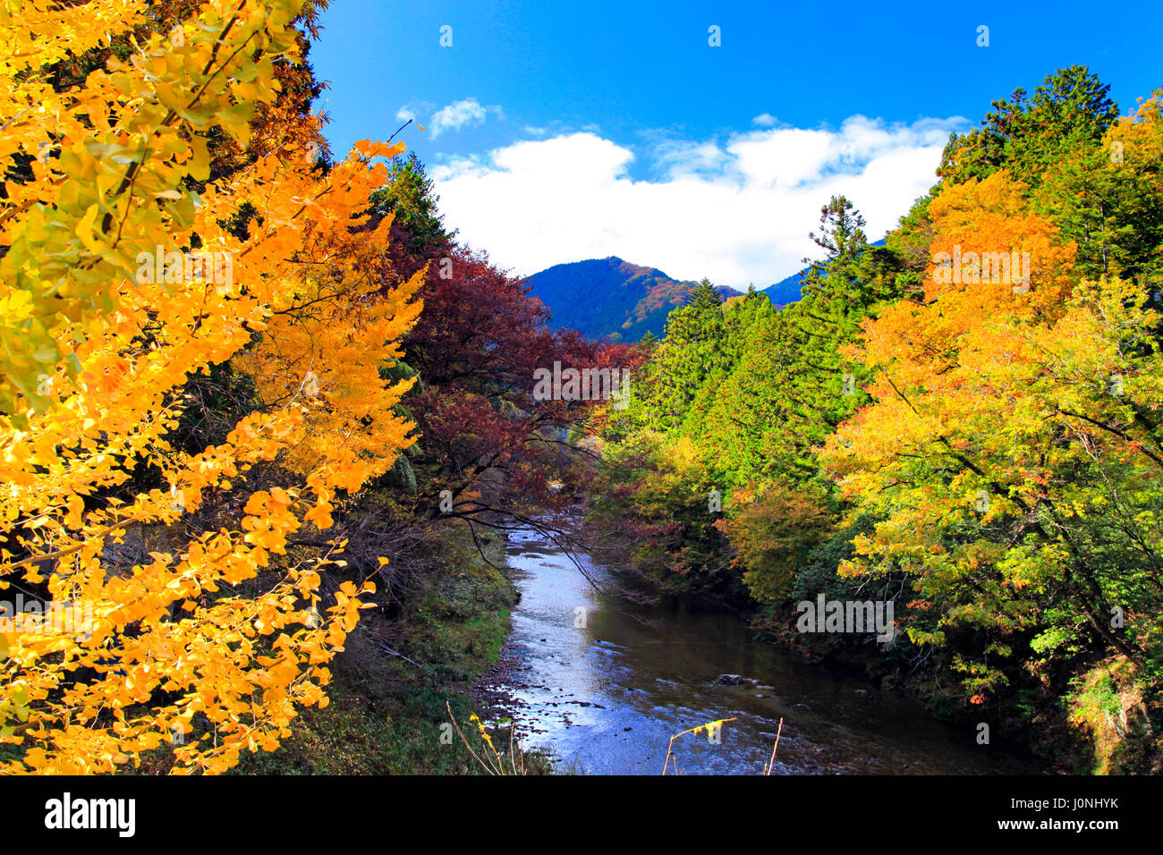 Akigawa Keikoku Valley Autumn Foliage Akiruno Tokyo Japan Stock Photo ...
