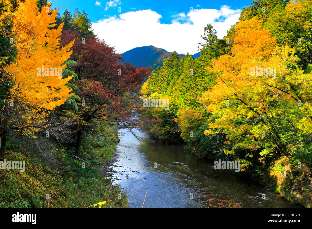 Akigawa Keikoku Valley Autumn Foliage Akiruno Tokyo Japan Stock Photo ...