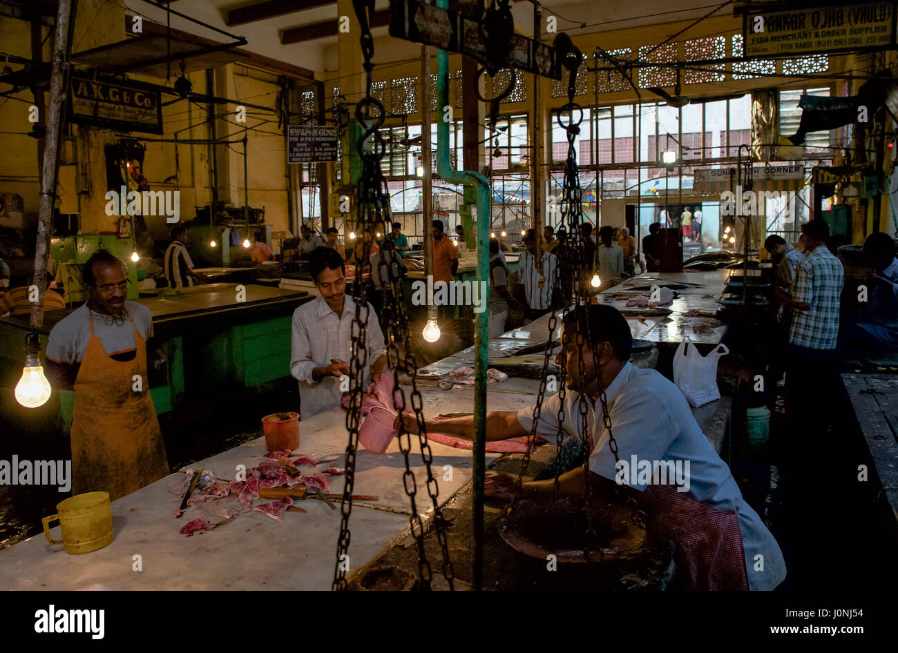 The fish and poultry sections of Hogg Market in Calcutta Stock Photo ...
