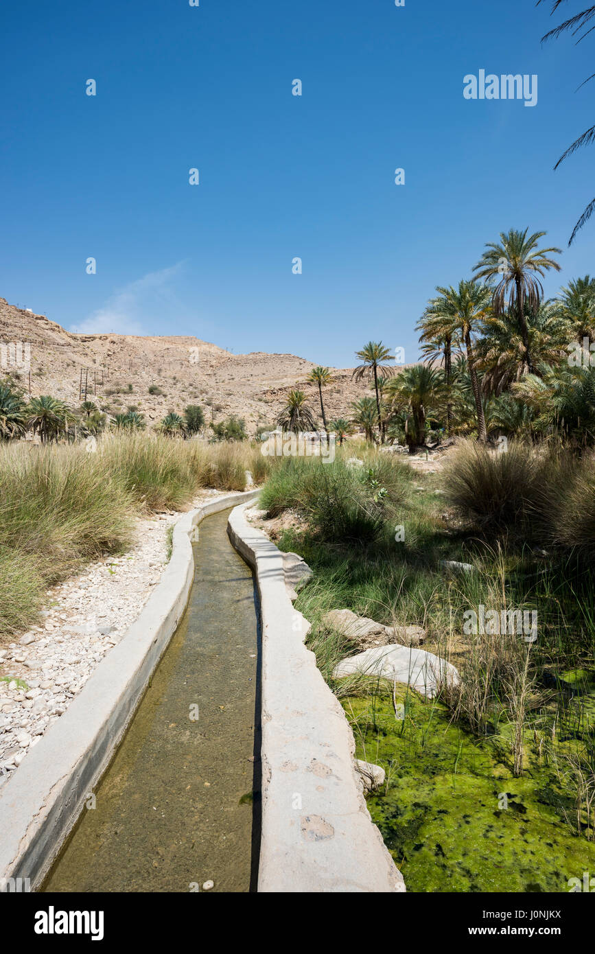 Ingenious irrigation system hi-res stock photography and images - Alamy