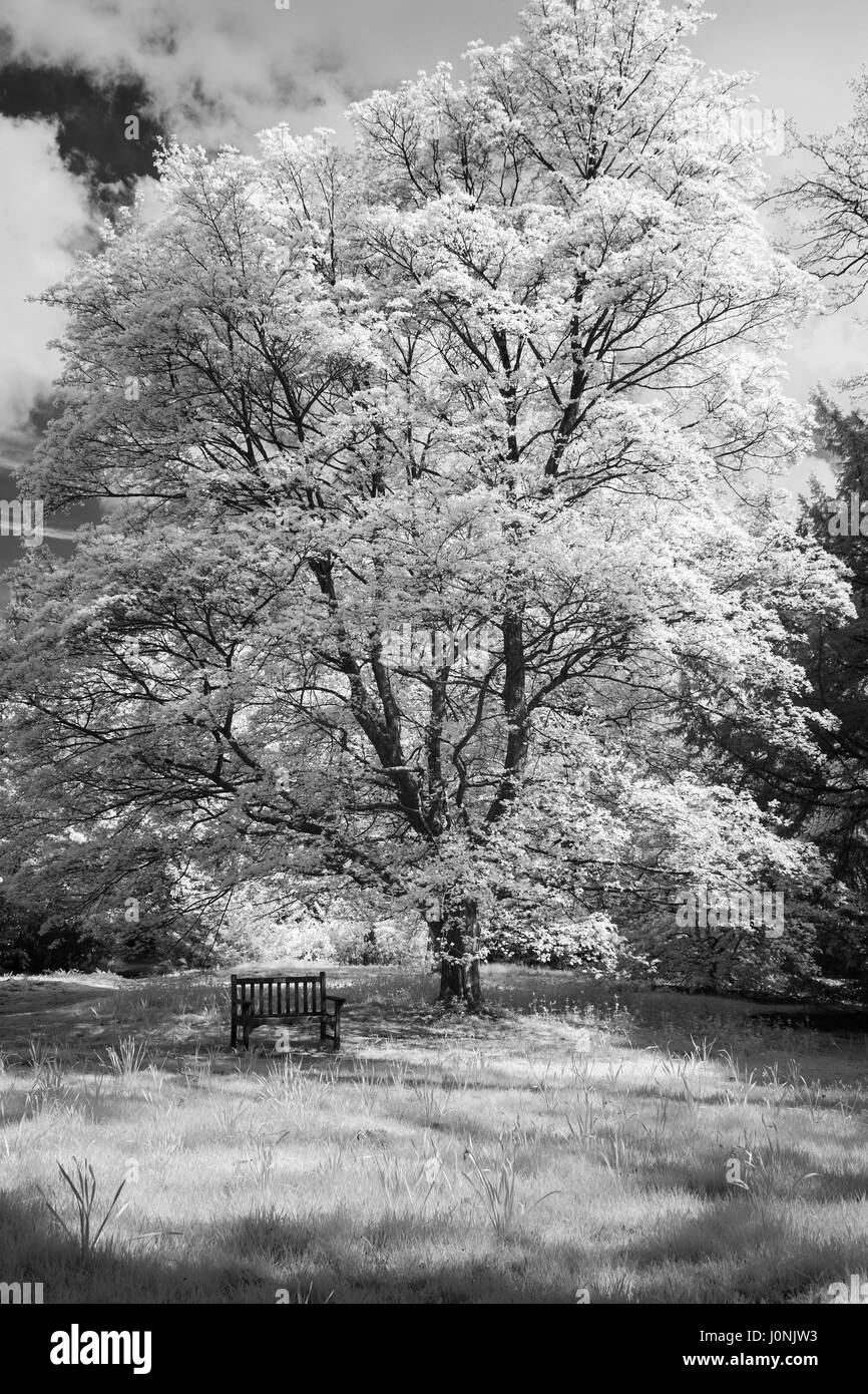 Sunny day shot Black and White Stock Photos & Images - Alamy