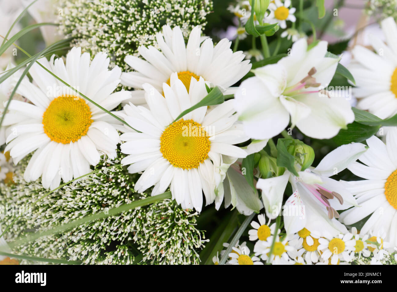 Spring perfect wedding daisy flower bouquet nice Stock Photo - Alamy