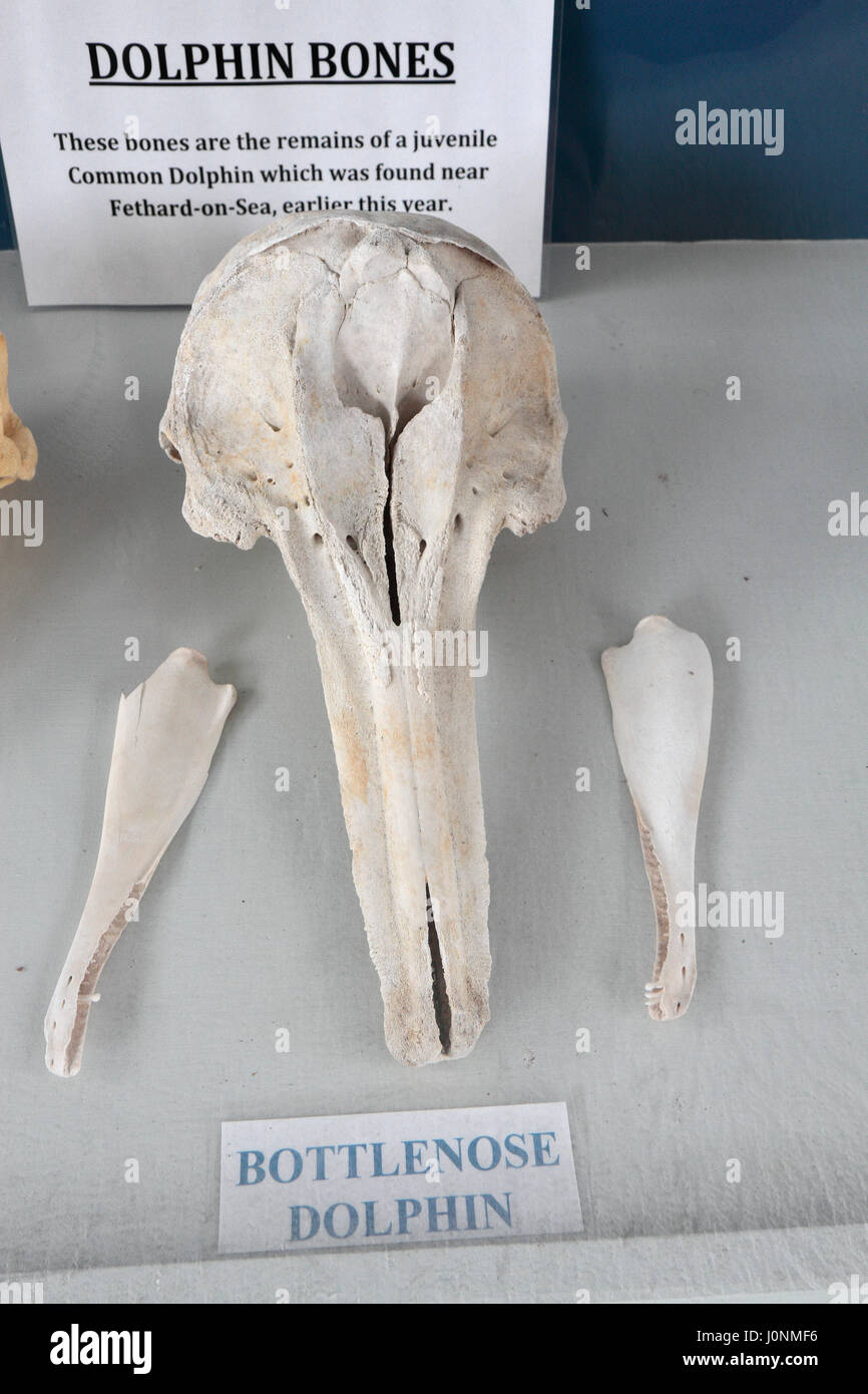 Hook head heritage centre hi-res stock photography and images - Alamy