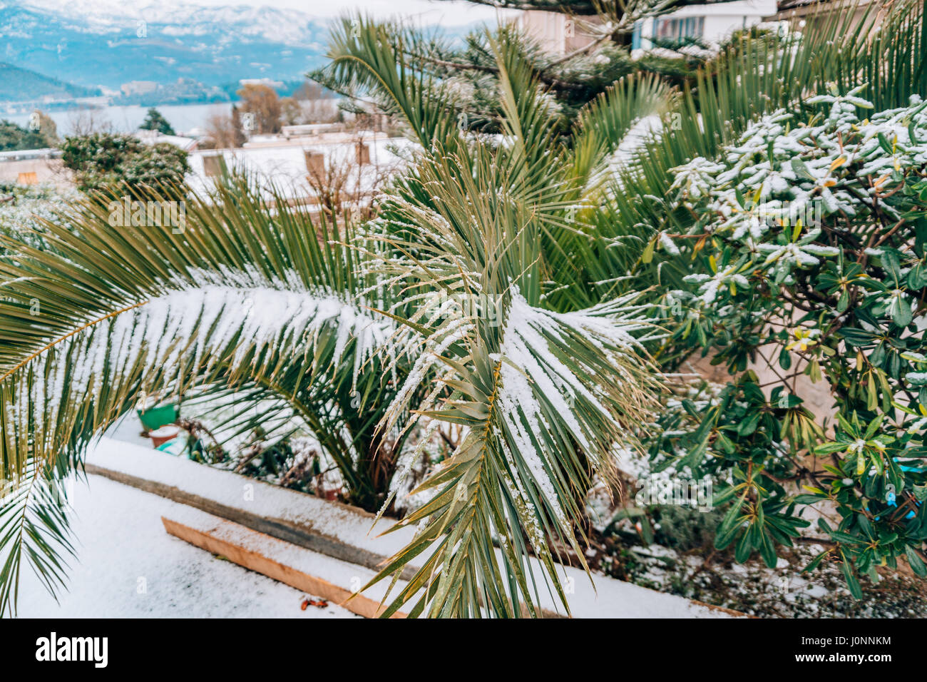 Ice cold in alex hi-res stock photography and images - Alamy