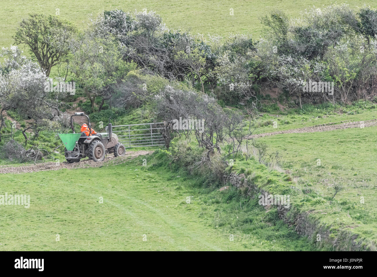 Distant shot of farm tractor with top dresser. Metaphor for food ...