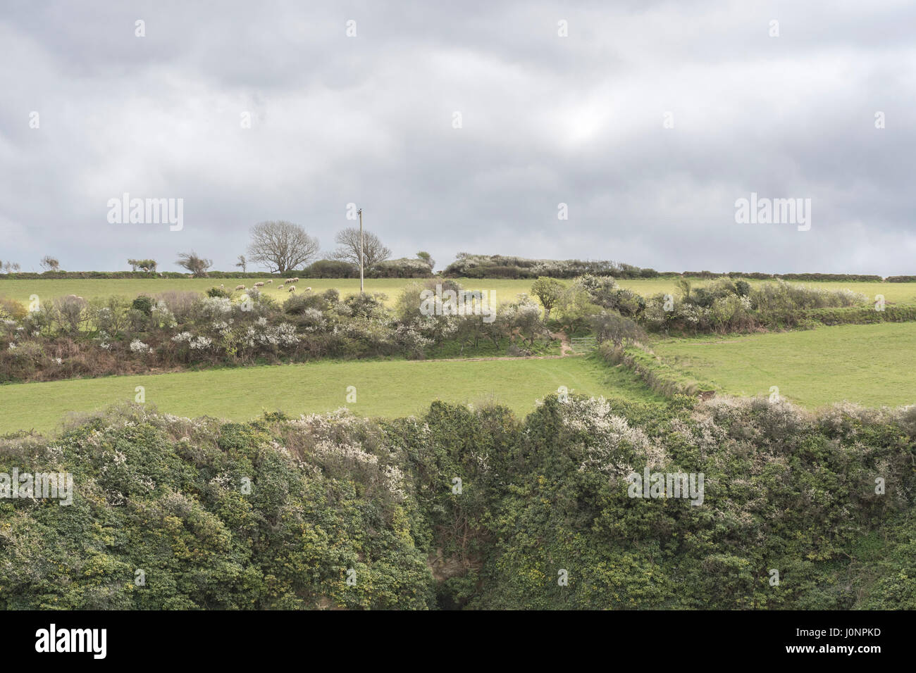 Mid cornwall hi-res stock photography and images - Alamy
