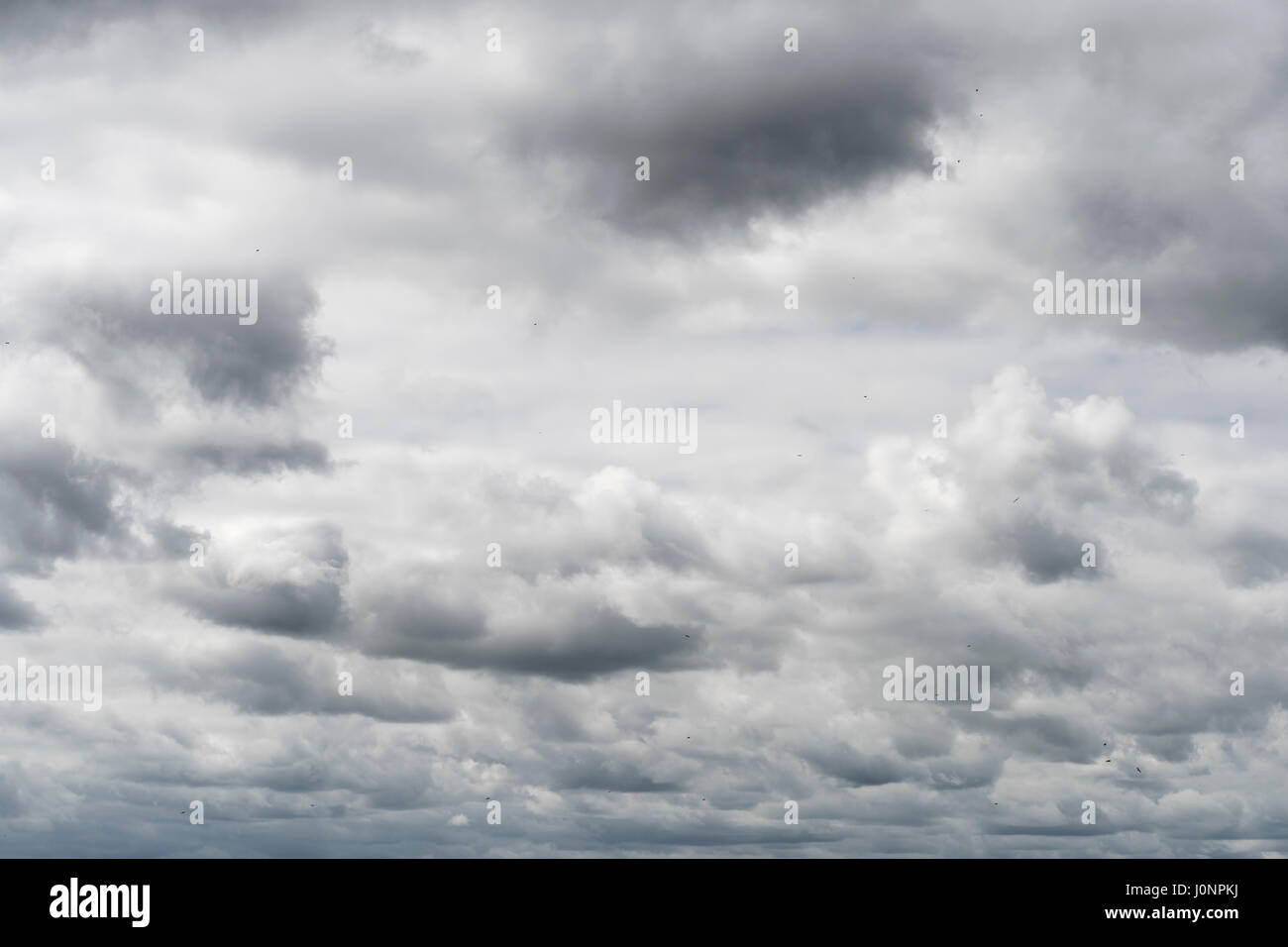 Dark & brooding sky. Metaphor for troubled times, bad times ahead, Head ...