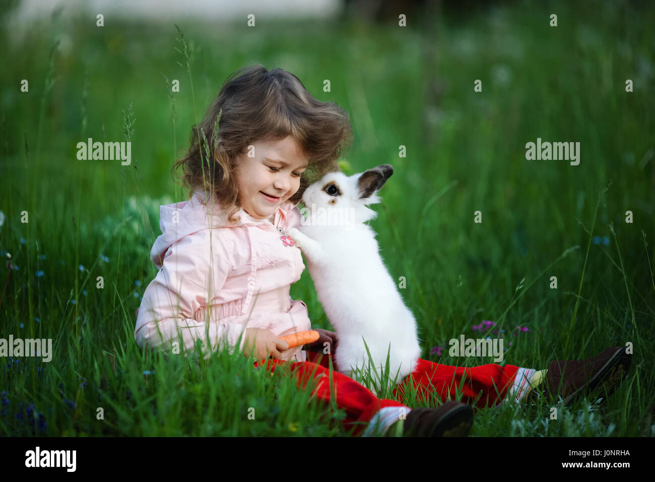 cute little girl with white rabbit Stock Photo - Alamy
