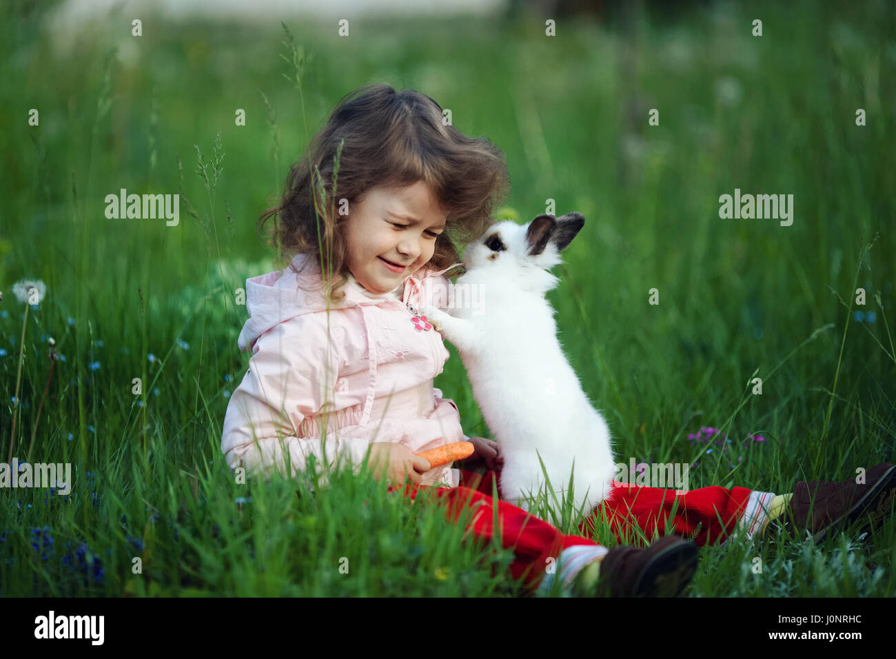 cute little girl with white rabbit Stock Photo - Alamy