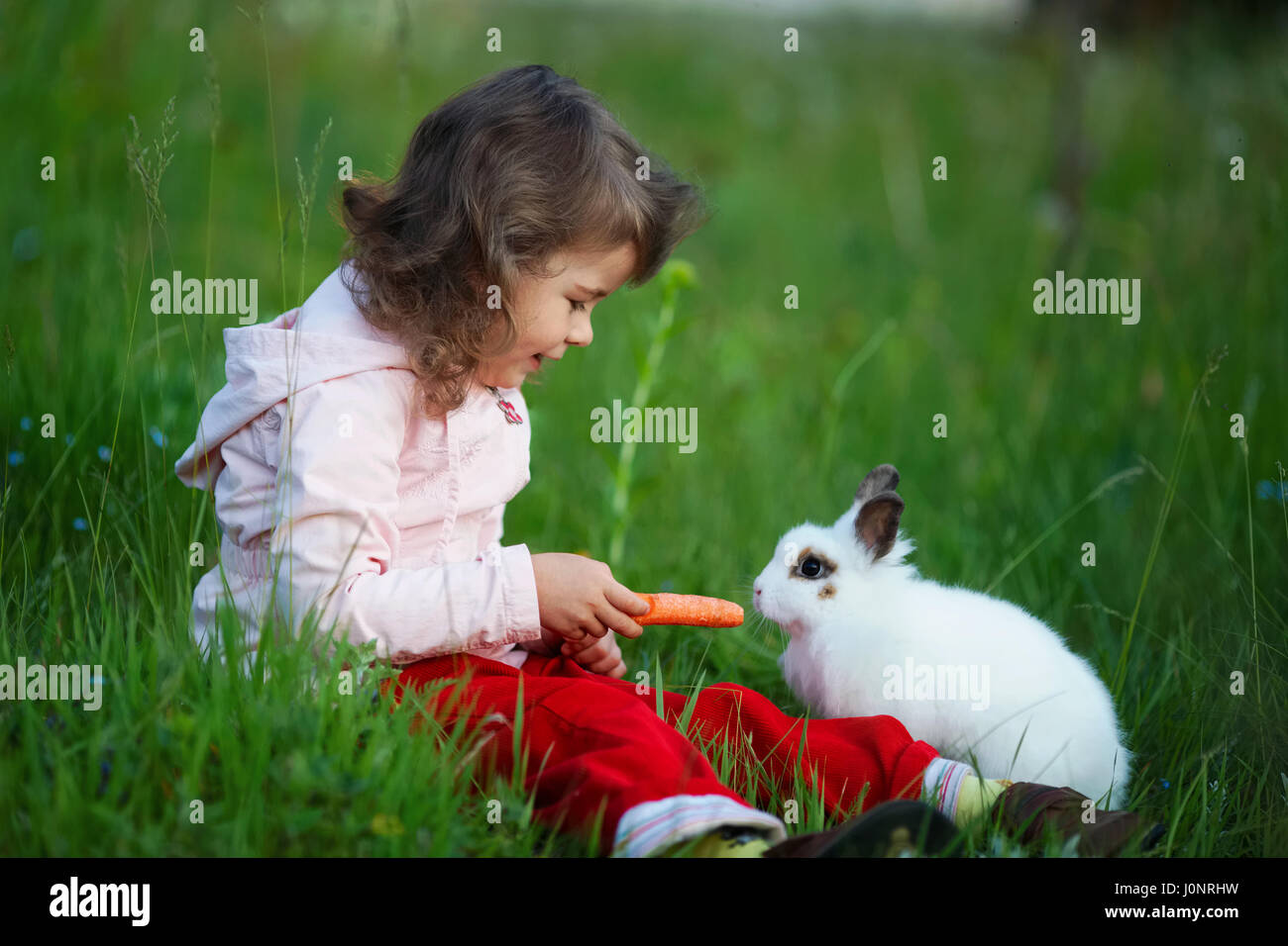 cute little girl with white rabbit Stock Photo - Alamy