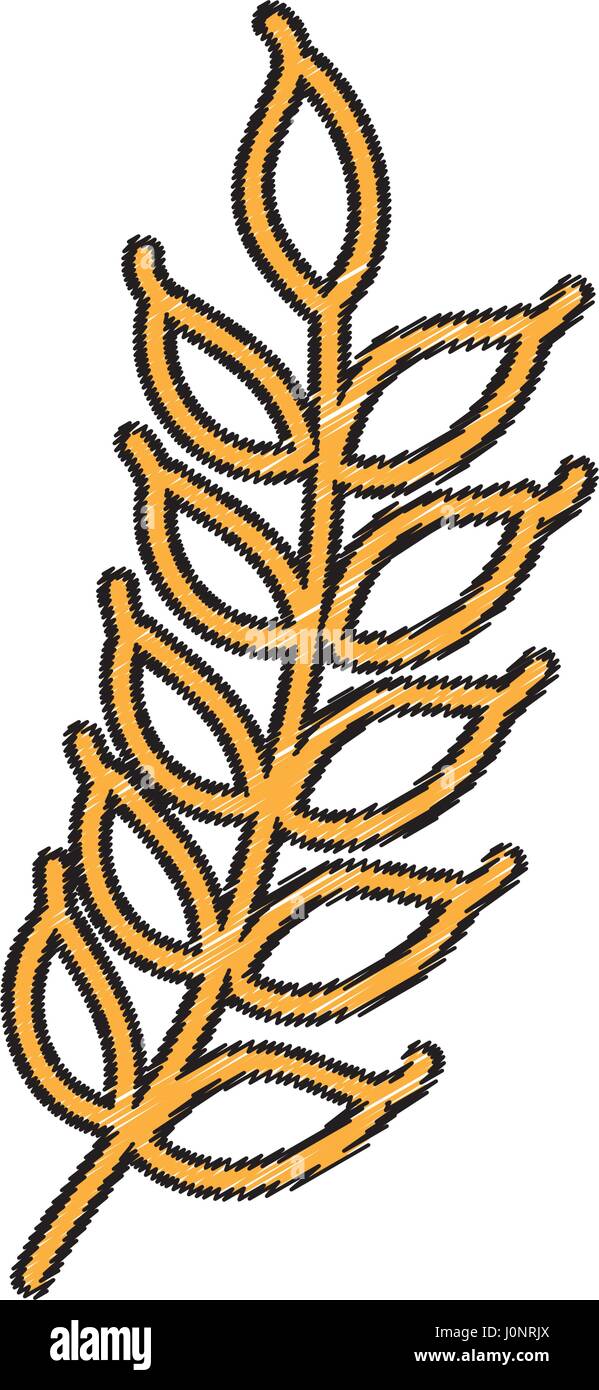 Weath cereal hi-res stock photography and images - Alamy