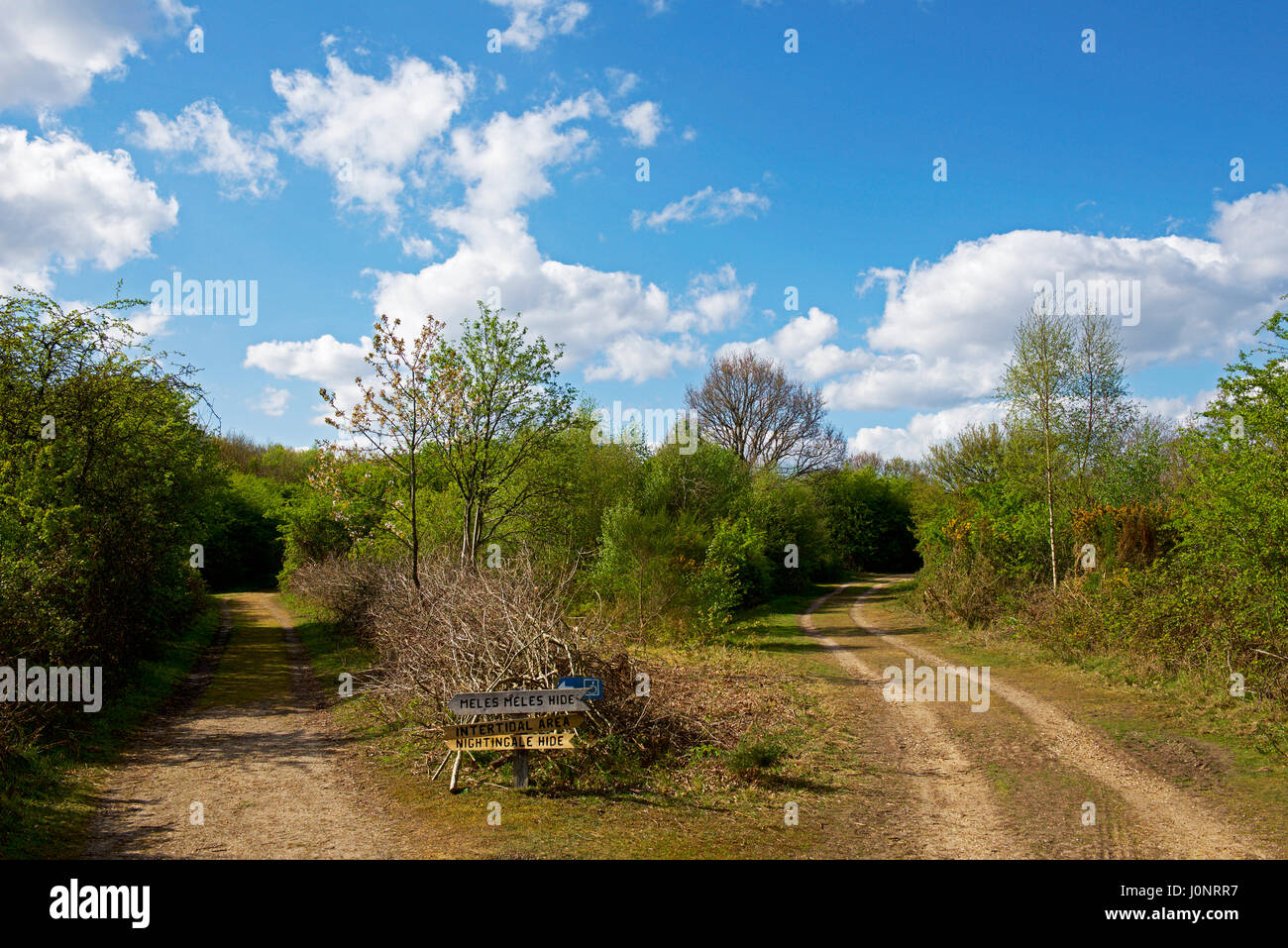 Fingringhoe Wick, a nature reserve in Essex, England UK Stock Photo - Alamy