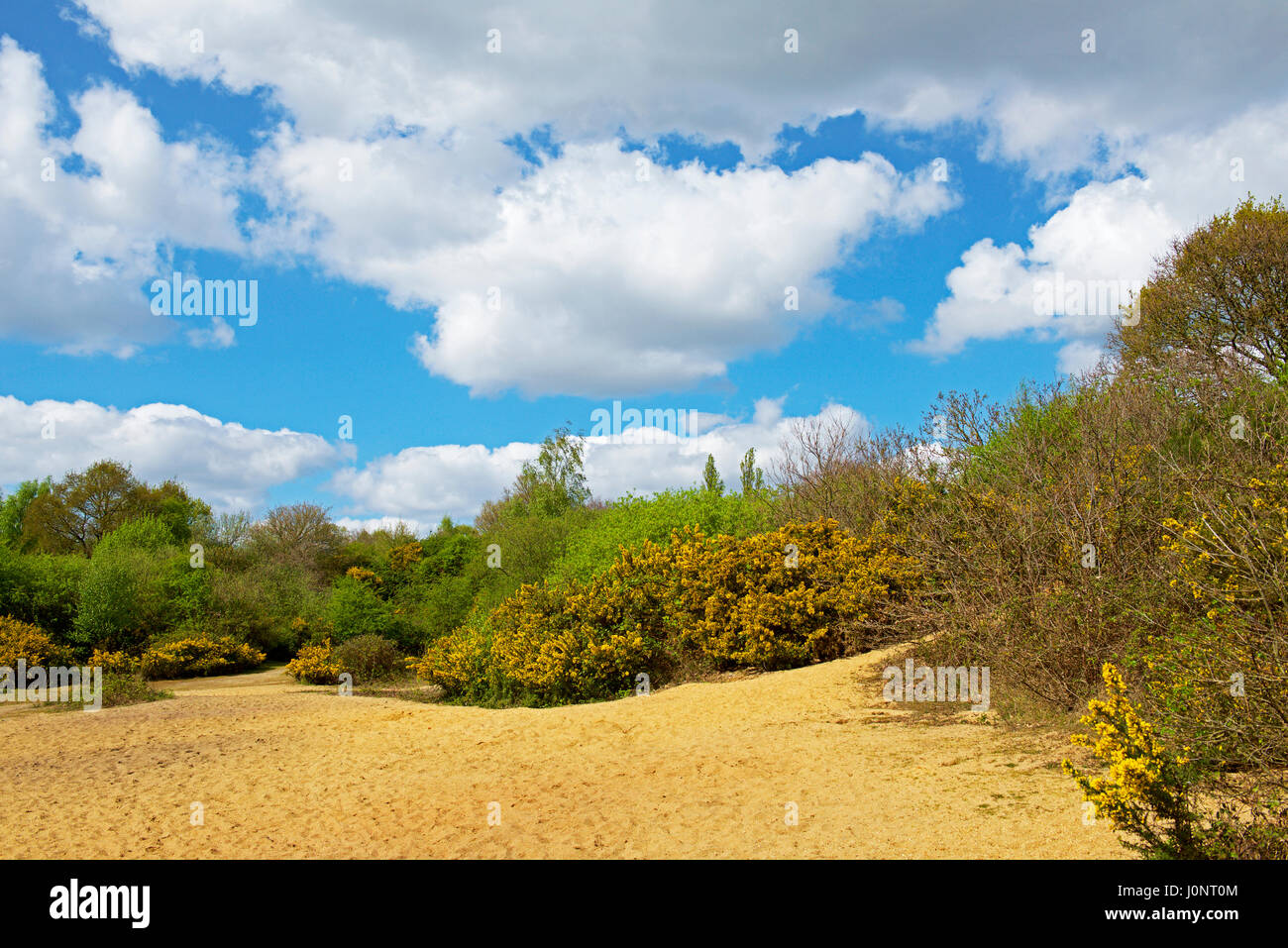Fingringhoe Wick, a nature reserve in Essex, England UK Stock Photo - Alamy